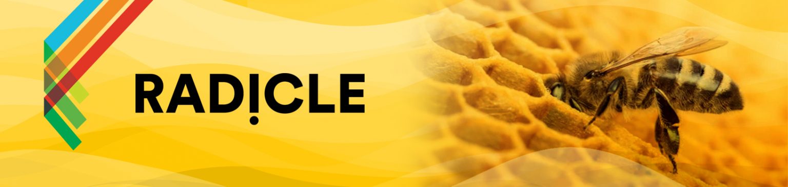 We’re Radicle Climate Smart certified - Courtney Agencies